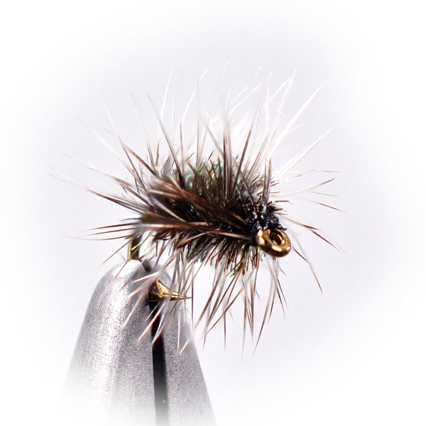 Griffith's Gnat – Region Fishing